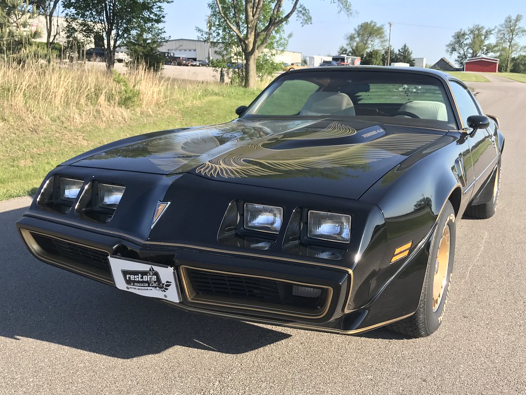 TRANS AM SPECIALTIES OF FLORIDA