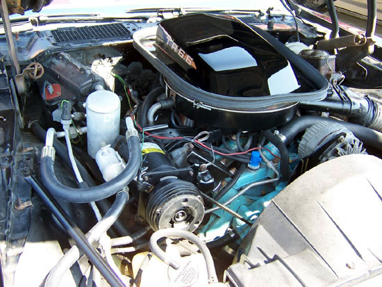 1978 Trans Am W72 4 Speed