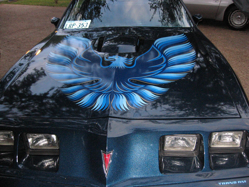 1979 Trans am T Tops