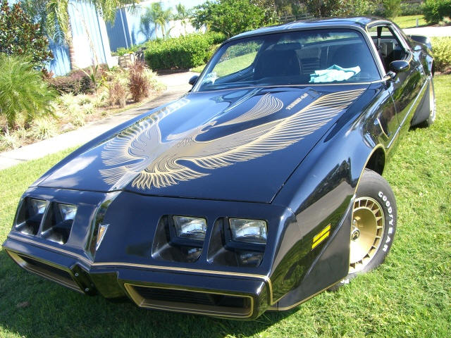 1981 Trans Am Special Edition Tu
