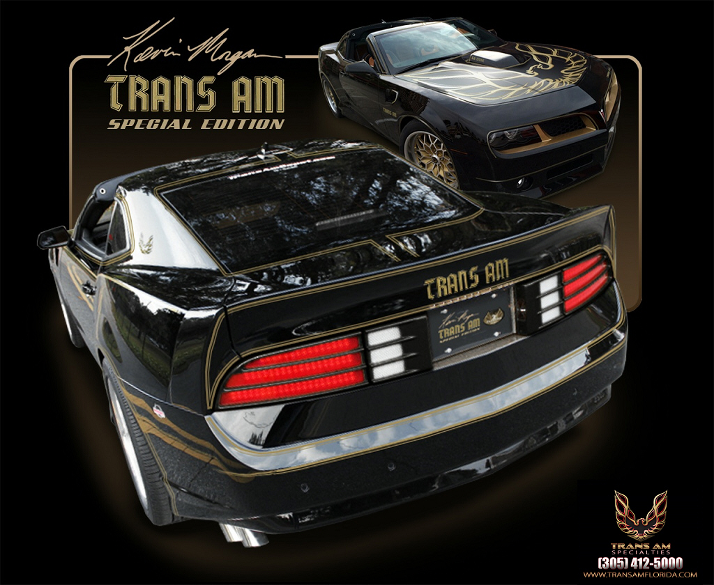 TRANS AM SPECIALTIES OF FLORIDA